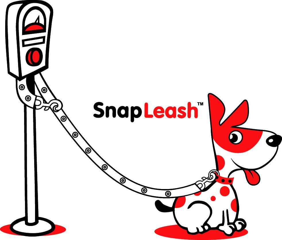 SNAPLEASH - Handsfree Multi-Use Dog Leash Lightweight, Training Lead